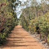 Kep Track, Western Australia, Australia - 54 Reviews, Map | AllTrails