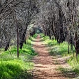 Kep Track, Western Australia, Australia - 54 Reviews, Map | AllTrails