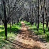 Kep Track, Western Australia, Australia - 54 Reviews, Map | AllTrails