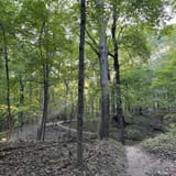 Farmdale Recreation Area Trail, Illinois - 969 Reviews, Map | AllTrails