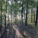 Farmdale Recreation Area Trail, Illinois - 969 Reviews, Map | AllTrails