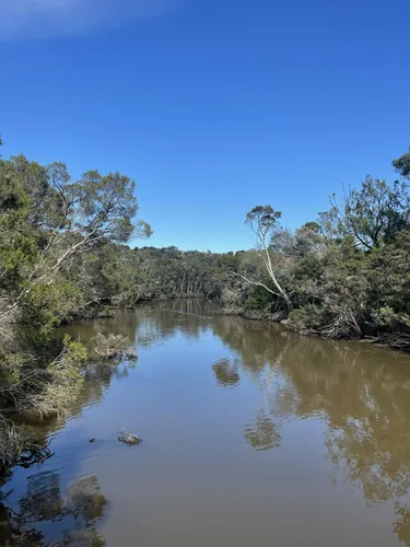 Best Hikes and Trails in Balcombe Creek Bushland Reserve | AllTrails