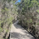 Balcombe Creek Estuary Boardwalk, Victoria, Australia - 196 Reviews ...