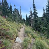Mount Aeneas Summit Trail, Montana - 378 Reviews, Map | AllTrails