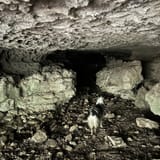 Kaintuck Hollow Acorn Section Trail, Missouri - 141 Reviews, Map ...