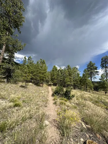 10 Best Trails and Hikes in Williams | AllTrails