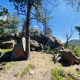 Pole Creek, Haunted Forest, Moose Loop, Meadow Trail, Wyoming - 221 ...