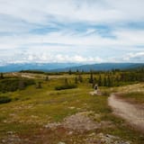 Curry Ridge Trail, Alaska - 756 Reviews, Map | AllTrails