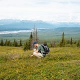 Curry Ridge Trail, Alaska - 756 Reviews, Map | AllTrails
