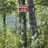 Mattatuck Trail: Wolcott to Brophy Pond, Connecticut - 146 Reviews, Map ...