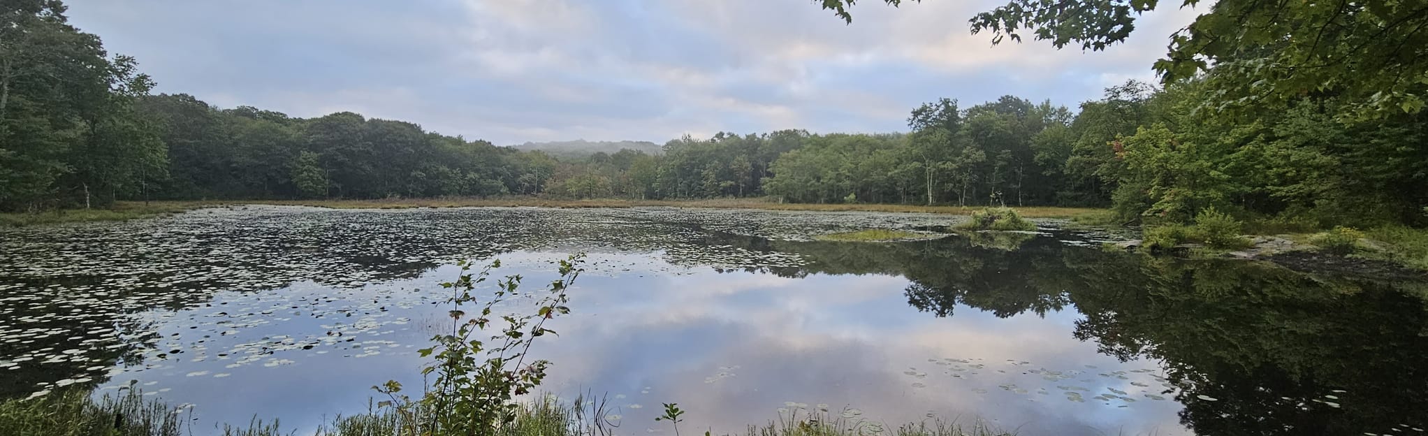 Mattatuck Trail: Wolcott to Brophy Pond, Connecticut - 120 Reviews, Map ...