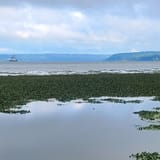 Norrie Point Trail, New York - 791 Reviews, Map | AllTrails