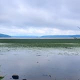 Norrie Point Trail, New York - 791 Reviews, Map | AllTrails