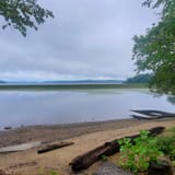 Norrie Point Trail, New York - 791 Reviews, Map | AllTrails