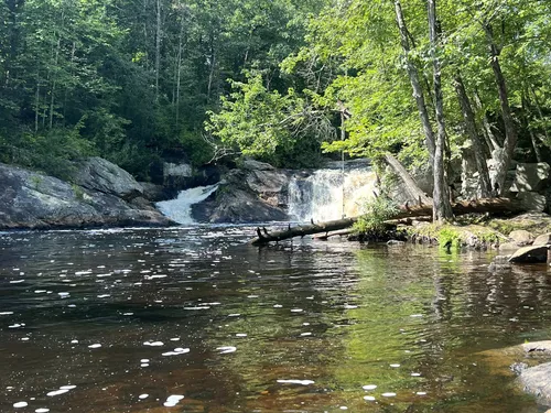 2023 Best Trails near Gonic Trails Falls | AllTrails