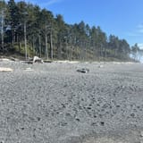 Ruby Beach, Washington - 1,349 Reviews, Map | AllTrails