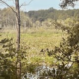 Lake Conestee Nature Trail and Swamp Rabbit Trail, South Carolina - 305 ...