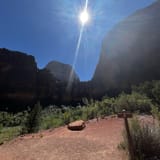 Virgin River Walk, Utah - 135 Reviews, Map | AllTrails