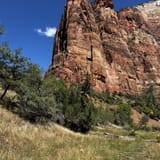 Virgin River Walk, Utah - 135 Reviews, Map | AllTrails