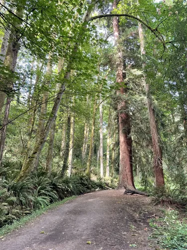 Best Hikes and Trails in Ravenna Park | AllTrails