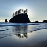 Second Beach, Washington - 1,572 Reviews, Map | AllTrails