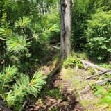 Pudding Pond Loop, New Hampshire - 292 Reviews, Map | AllTrails