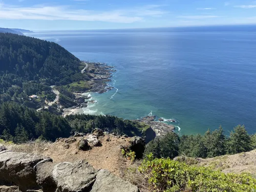 10 Best Dog Friendly Trails in Oregon | AllTrails