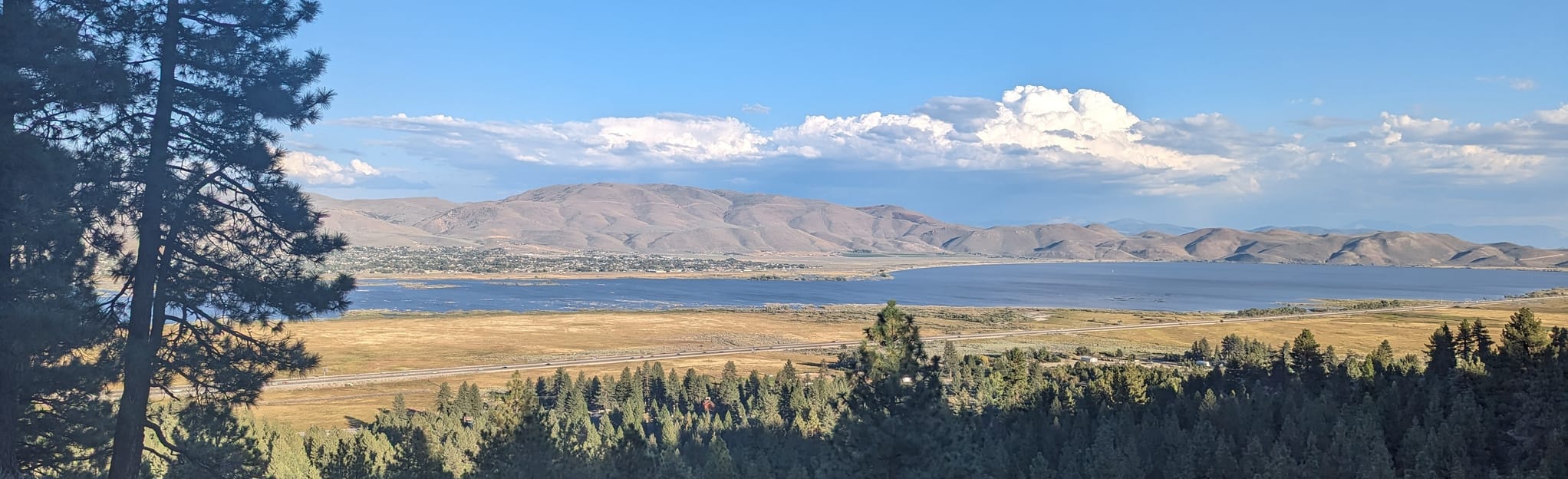 Rock Lake via Ophir Trail: 865 foto's - Nevada | Wandelen - AllTrails