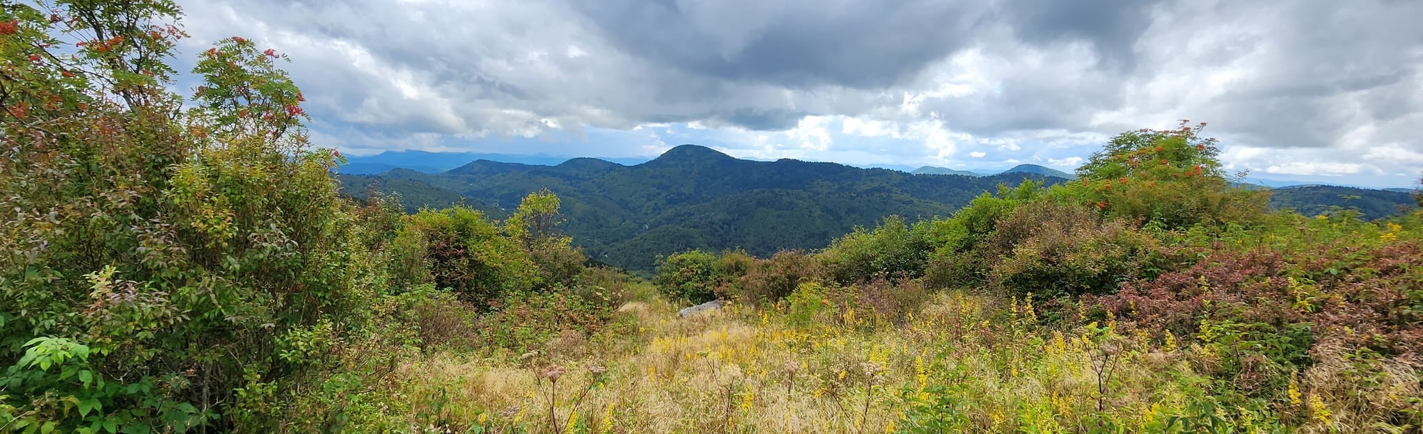Sam Knob Trail, North Carolina - 1,249 Reviews, Map | AllTrails