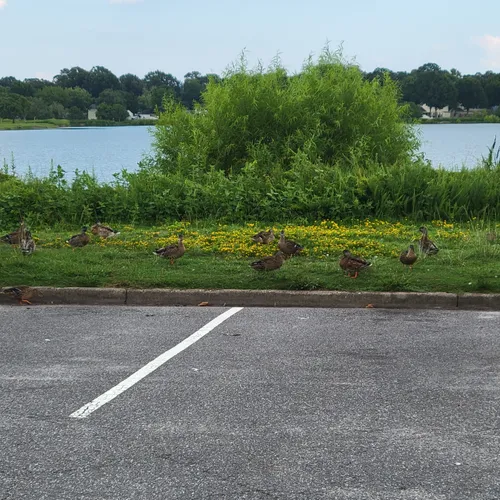 Bedste vandreture og ruter i Mount Trashmore Park | AllTrails