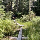 Hester Lake Trail, Washington - 63 Reviews, Map | AllTrails