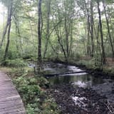 Stepstone Falls via Ben Utter Trail, Rhode Island - 1,491 Reviews, Map ...