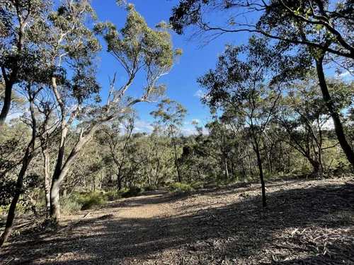 Best Hikes and Trails in Long Forest Flora and Fauna Reserve | AllTrails