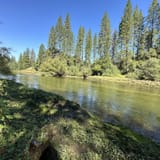 Lake Tabeaud Loop, California - 862 Reviews, Map | AllTrails