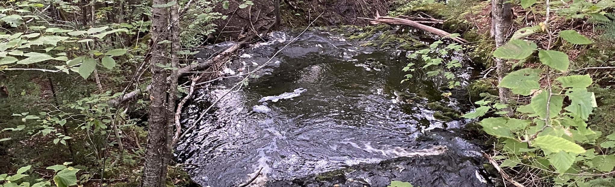 Devil’s Hill Falls: 70 Reviews, Map - Nova Scotia, Canada | AllTrails