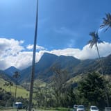 Cocora Valley Loop, Quindío, Colombia - 201 Reviews, Map | AllTrails