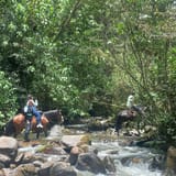 Cocora Valley Loop, Quindío, Colombia - 201 Reviews, Map | AllTrails