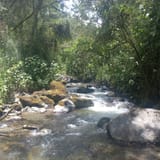 Cocora Valley Loop, Quindío, Colombia - 201 Reviews, Map | AllTrails