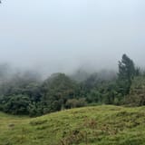 Cocora Valley Loop, Quindío, Colombia - 201 Reviews, Map | AllTrails
