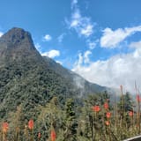Cocora Valley Loop, Quindío, Colombia - 201 Reviews, Map | AllTrails