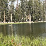 Weaver Lake Trail, California - 885 Reviews, Map | AllTrails