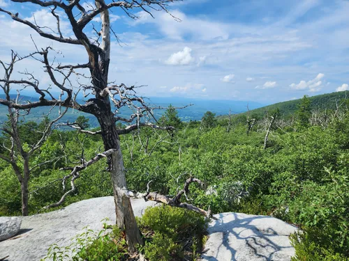 Best Hikes and Trails in Shawangunk Ridge State Forest | AllTrails