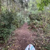 Weatherwax Trail, Washington - 294 Reviews, Map | AllTrails
