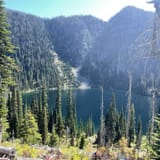 Cedar Lakes Trail, Montana - 160 Reviews, Map | AllTrails