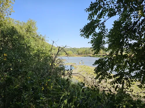 10 Best Trails and Hikes in Decorah | AllTrails