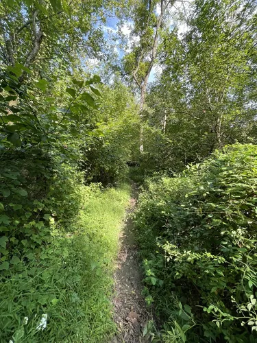 Best Hikes and Trails in Louis W. Scott Memorial Park | AllTrails