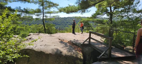 Best 10 Hikes and Trails in Cook Forest State Park | AllTrails