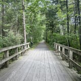 Barnegat Branch Trail, New Jersey - 259 Reviews, Map | AllTrails