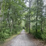 Barnegat Branch Trail, New Jersey - 259 Reviews, Map | AllTrails
