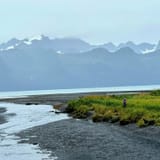 Tonsina Creek Trail, Alaska - 1,300 Reviews, Map | AllTrails